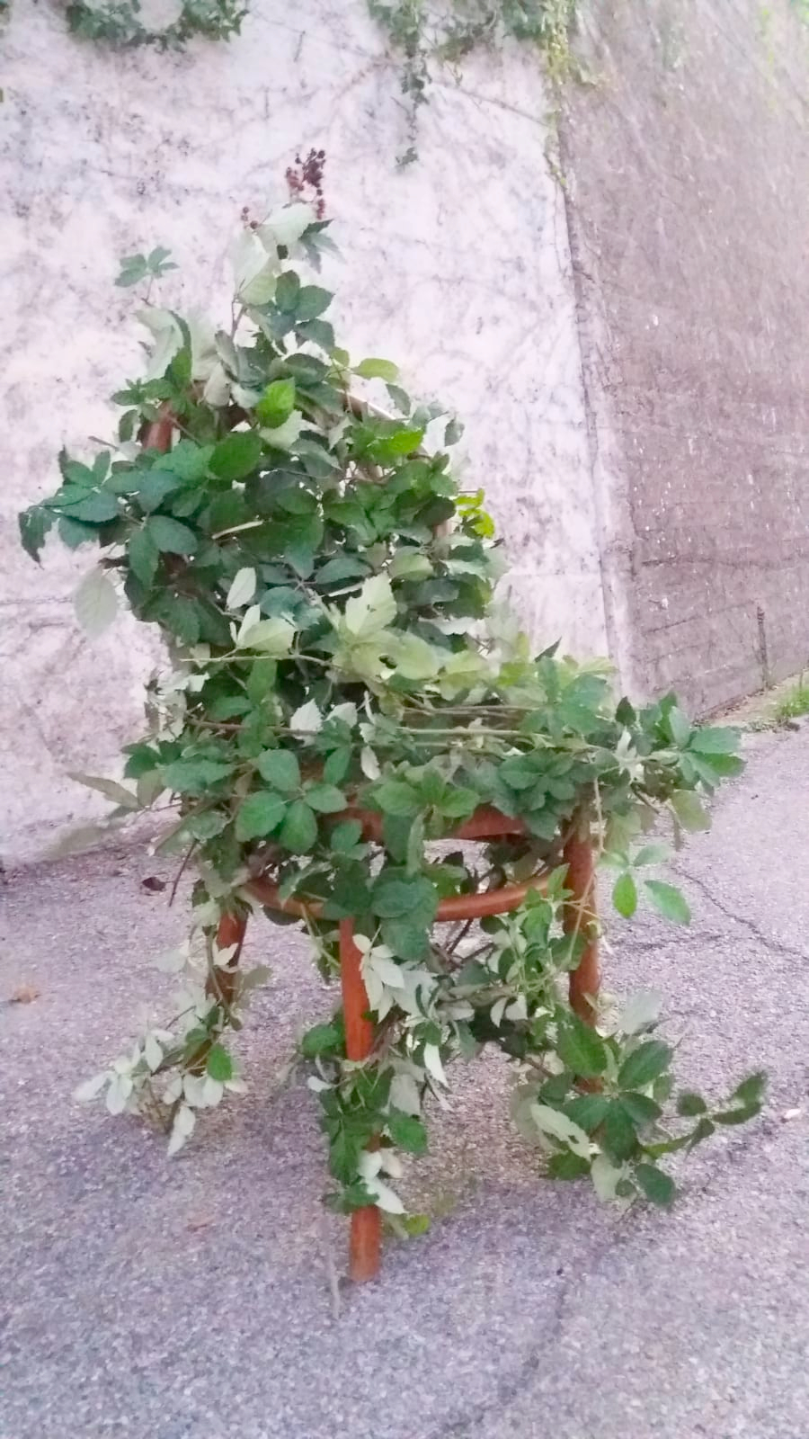 Posto riservato – Roccioletti