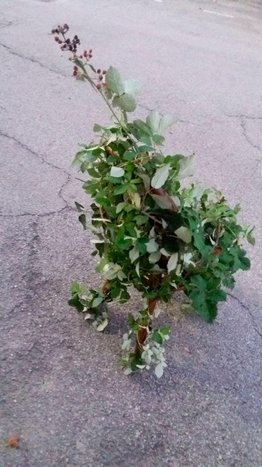 Posto riservato – Roccioletti