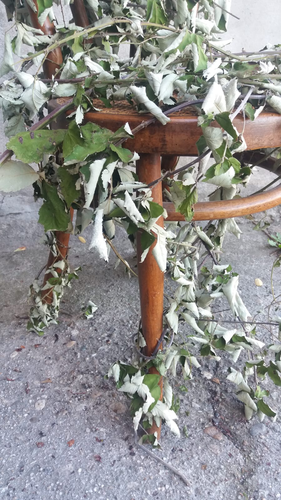 Posto riservato – Roccioletti