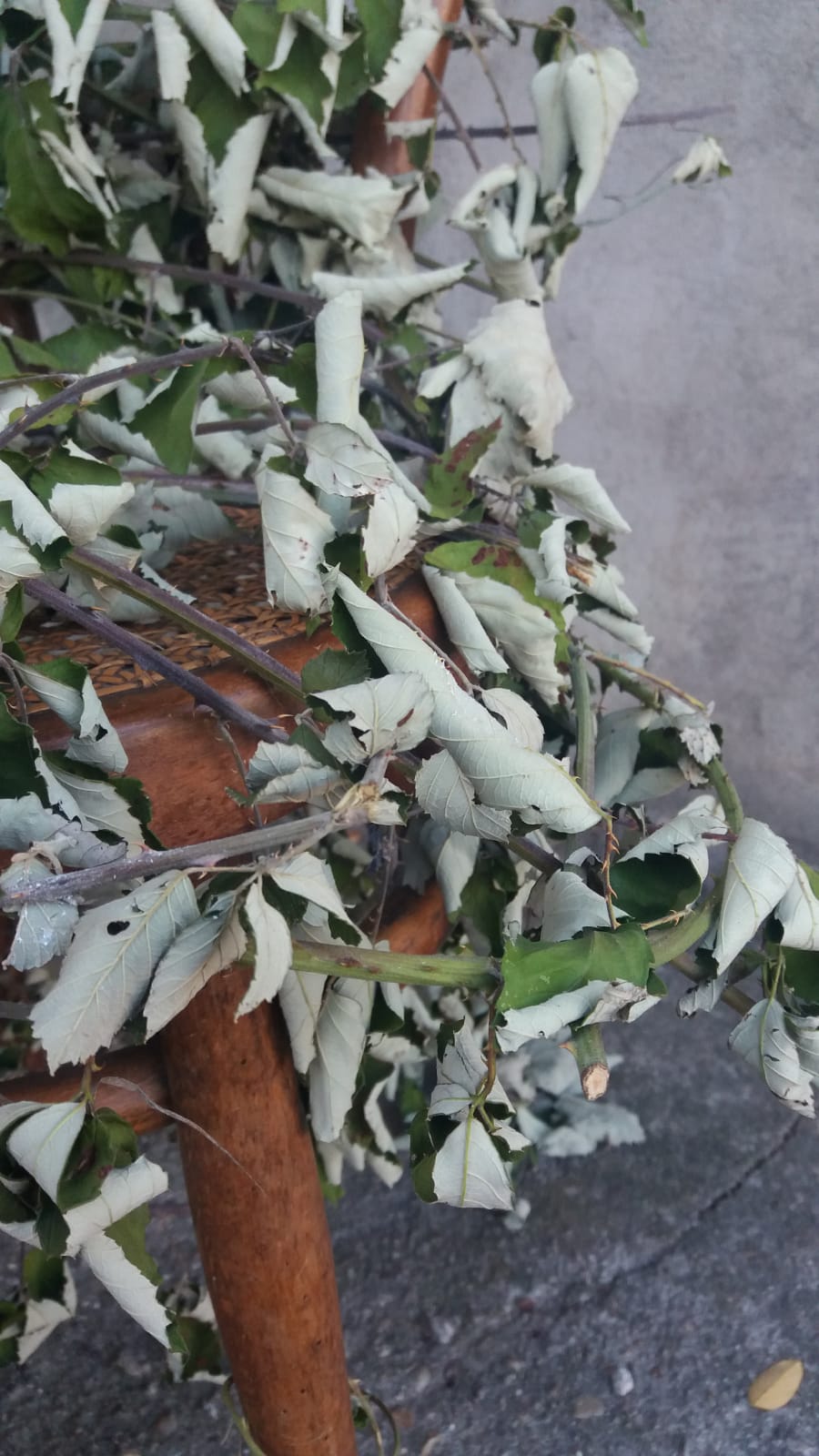 Posto riservato – Roccioletti